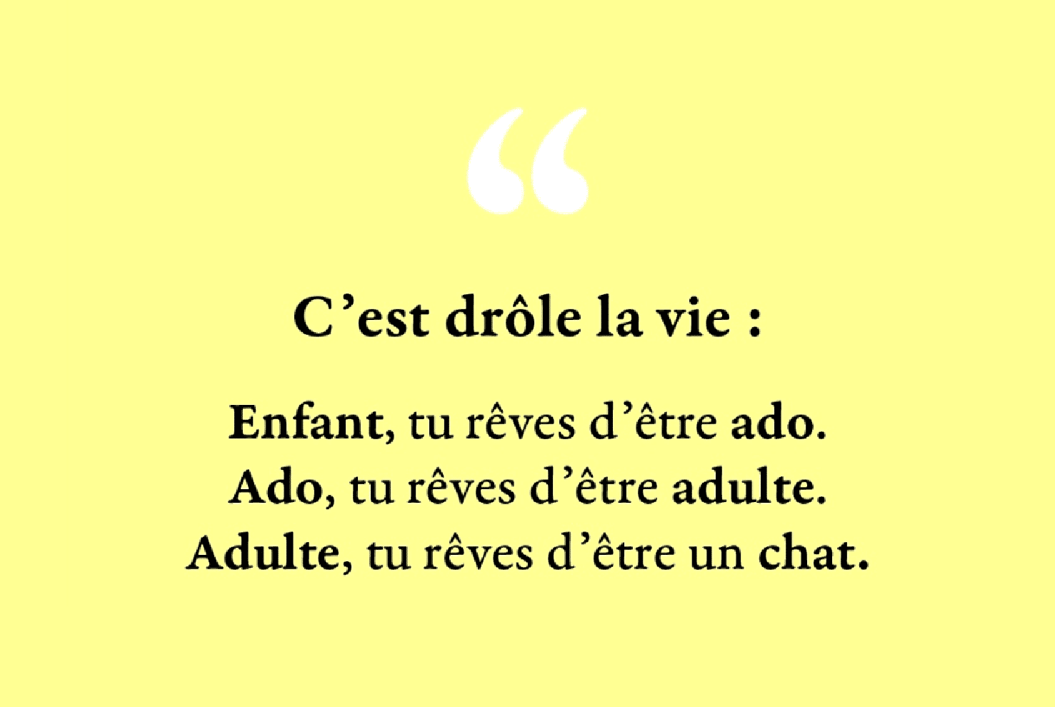 Top 13 des meilleures punchlines sur la vie avec un chat - Caats