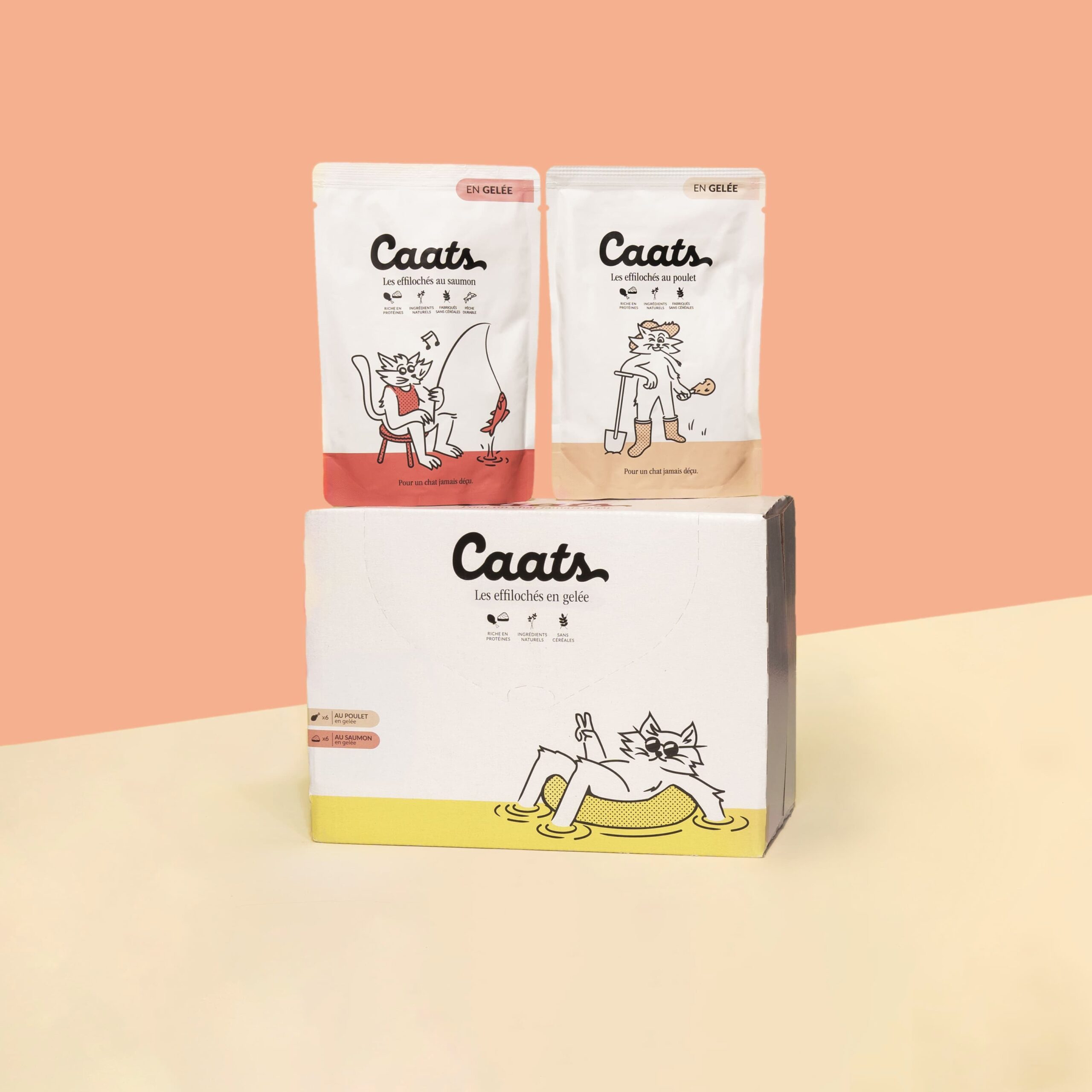 Nourriture pour chat : croquettes, pâtées & alimentation adaptée | Caats
